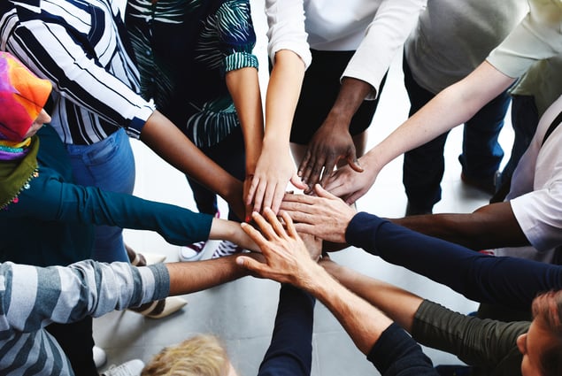 Animal Feed Formulation Software from Datacor (formerly Brill)